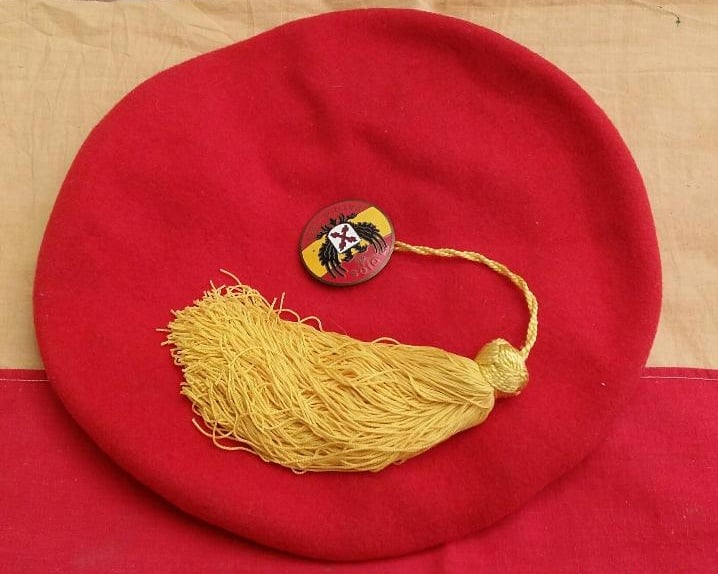 Fiesta de la juventud carlista de Pamplona – Comunión Tradicionalista ...